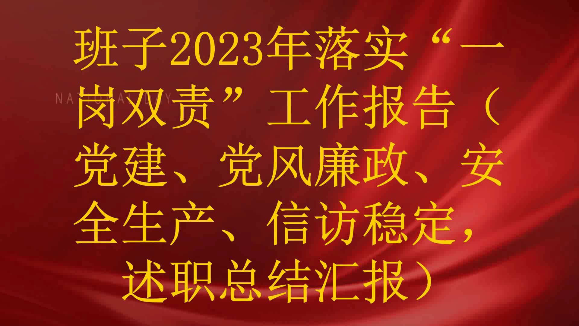 班子2023年落实“一岗双责”工作报告(党建、党风廉政、安全生产、...