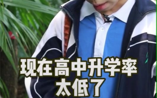 海外留学怎么选?深大国际学分课程帮你选