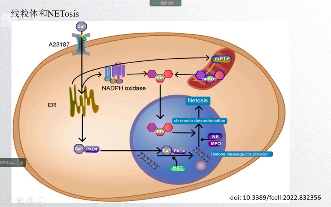 12.25-26 生信两天成文医学会员免费学