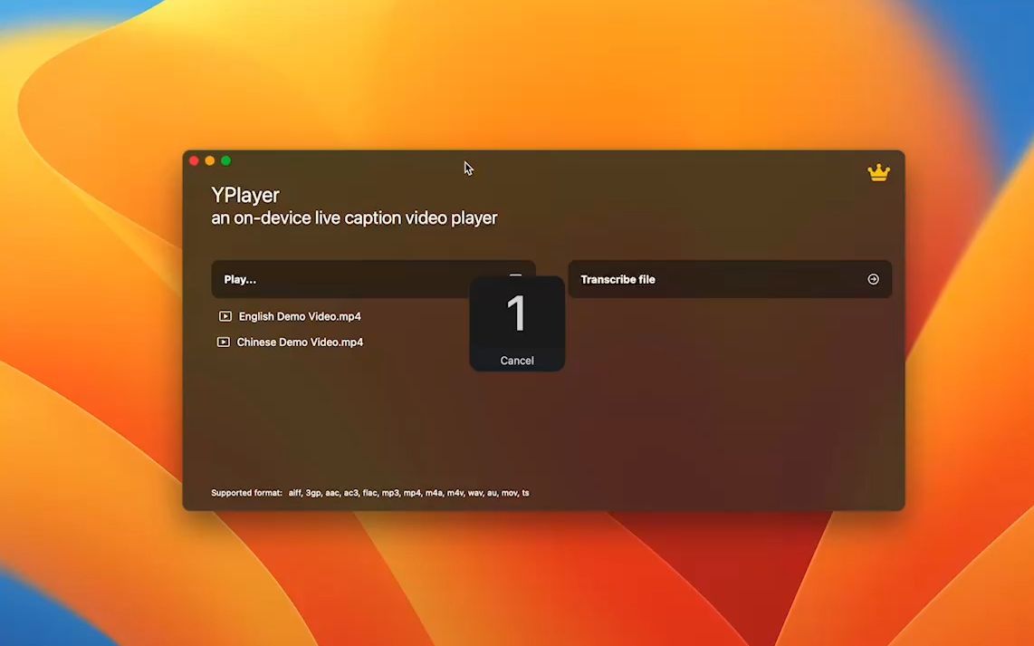 YPlayer 支持离线字幕生成, 字幕搜索, 字幕导出 PDF 打印