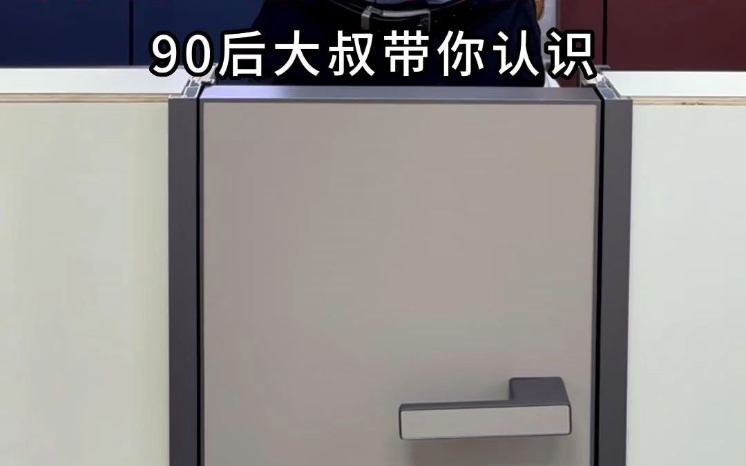 90后大叔带你认识门墙一体的涂料隐框门