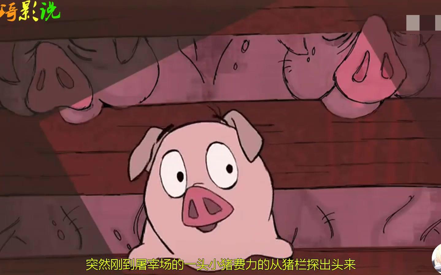 黑暗动画短片《猪命》,我们望着命运齿轮的转动却无可奈何,你还在...