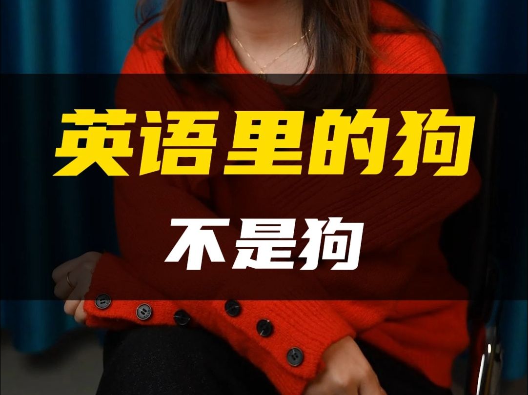 英语里的“狗”,你知道多少?