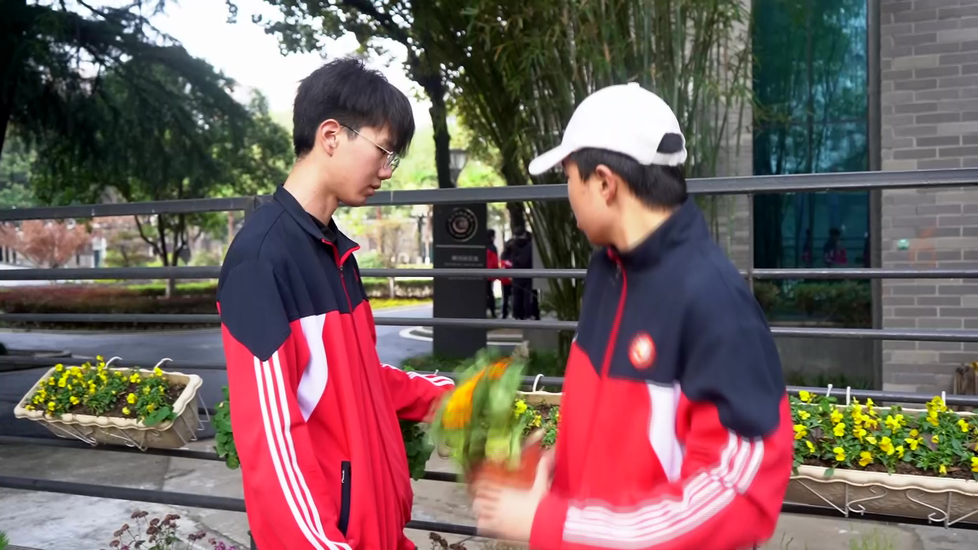 【武汉市财政学校抖肩舞】