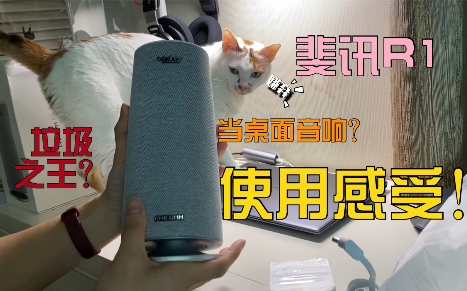 ...斐讯r1智障音箱真的有这么好吗!?非大佬视角,普通用户分享使用感受