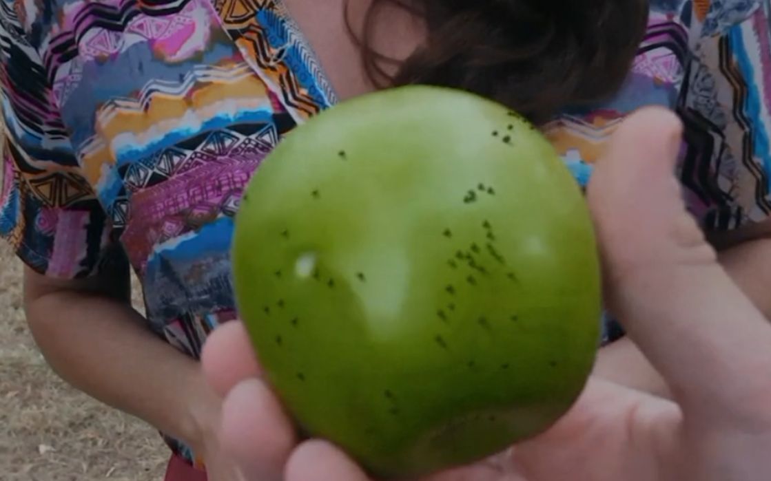 比蚂蚁还小的黑色虫子,能瞬间克隆人类,一部科幻电影!