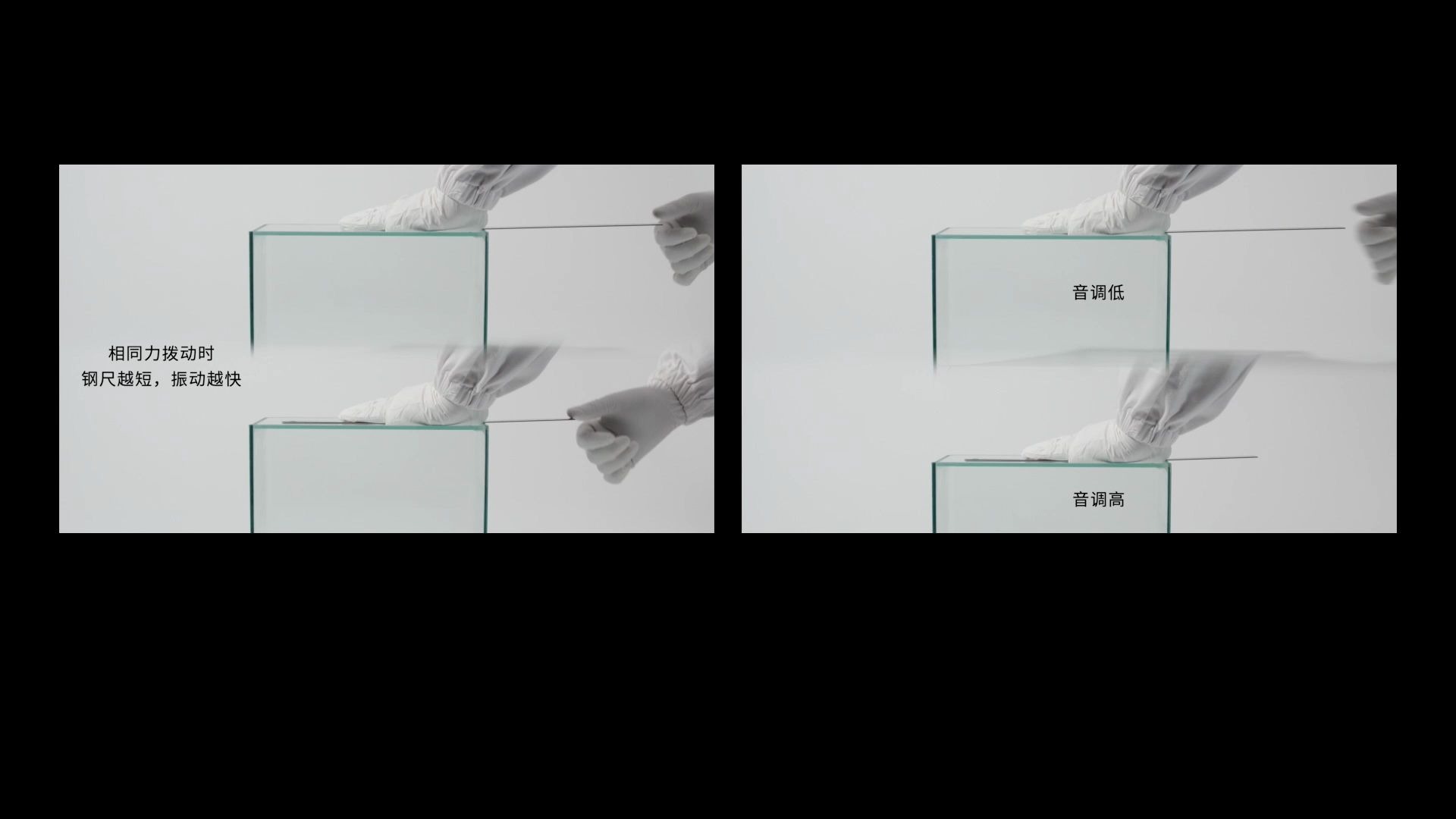 【物理】八上 2.2 声音的特性—影响音调的因素