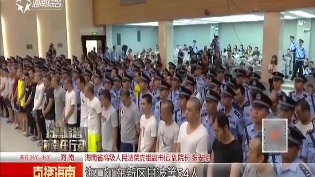 海南18家法院审判49宗黑恶势力犯罪案件,186名被告集中公开审判