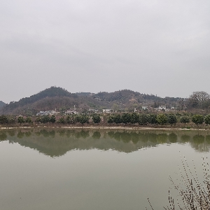 机灵子本尊 