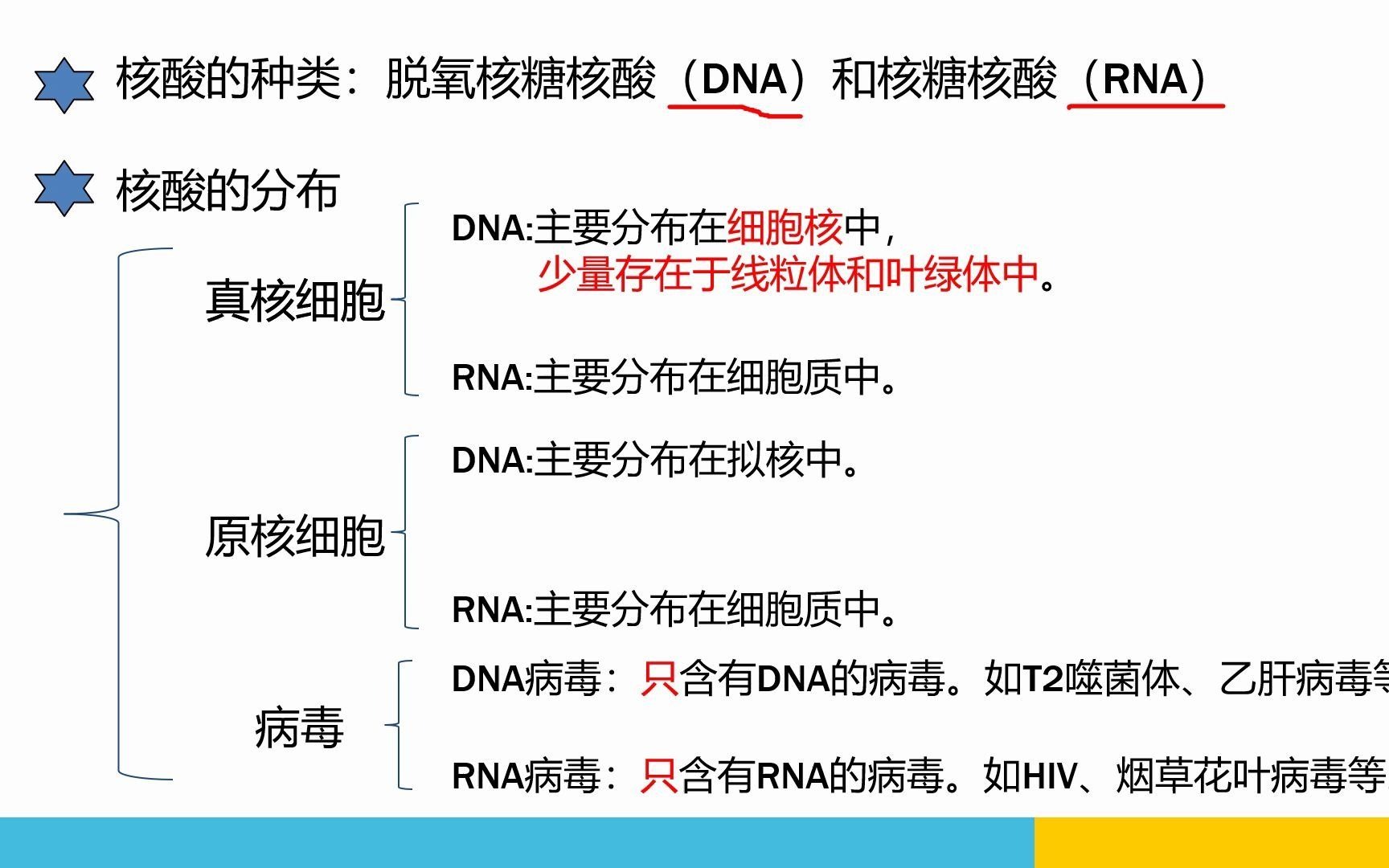 核酸的种类及其分布