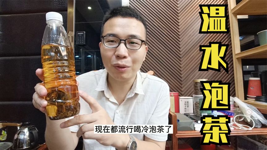 茶小侣温泡陈皮白茶,不一样的体验感觉,夏天喝温水泡茶