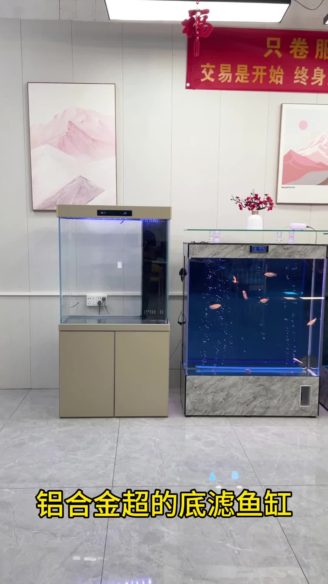 #超白玻璃鱼缸 #底滤鱼缸 #鱼缸