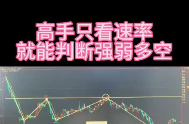 【热门】高手只看速率,就能判断强弱多空。# 期货交易心得 # 量化...