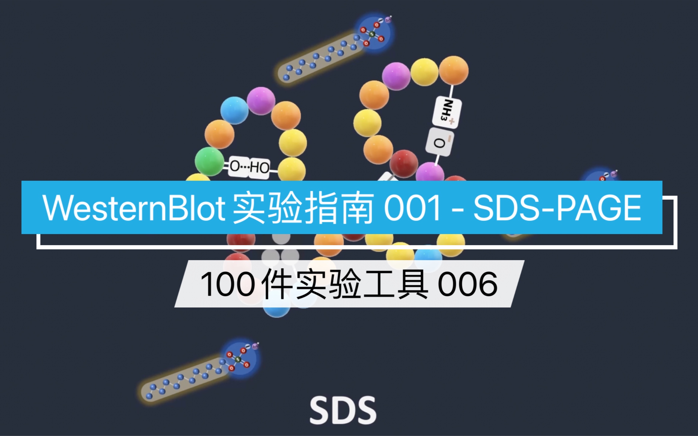Western Blot实验指南(001-SDS-PAGE)