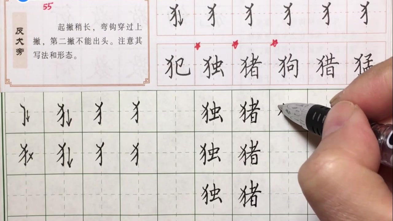 硬笔书法教学:反犬旁写法讲解,有技巧要持之以恒练习才能写好看