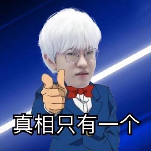 胆小菇1号 