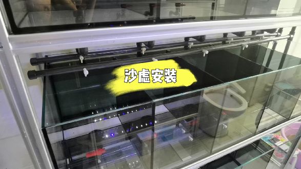 系统鱼缸首选的过滤方式,几把沙子的过滤效果比底滤效果还要好