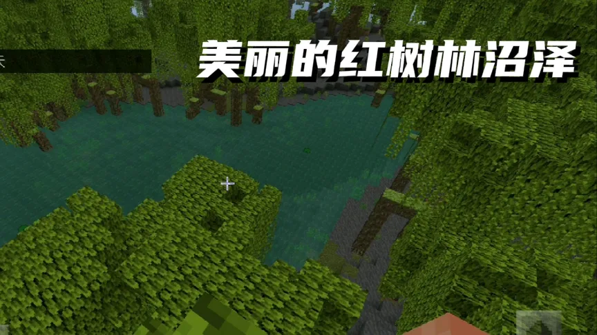我的世界1.19版本介绍1:红树林地形,增加红树木和箱子船