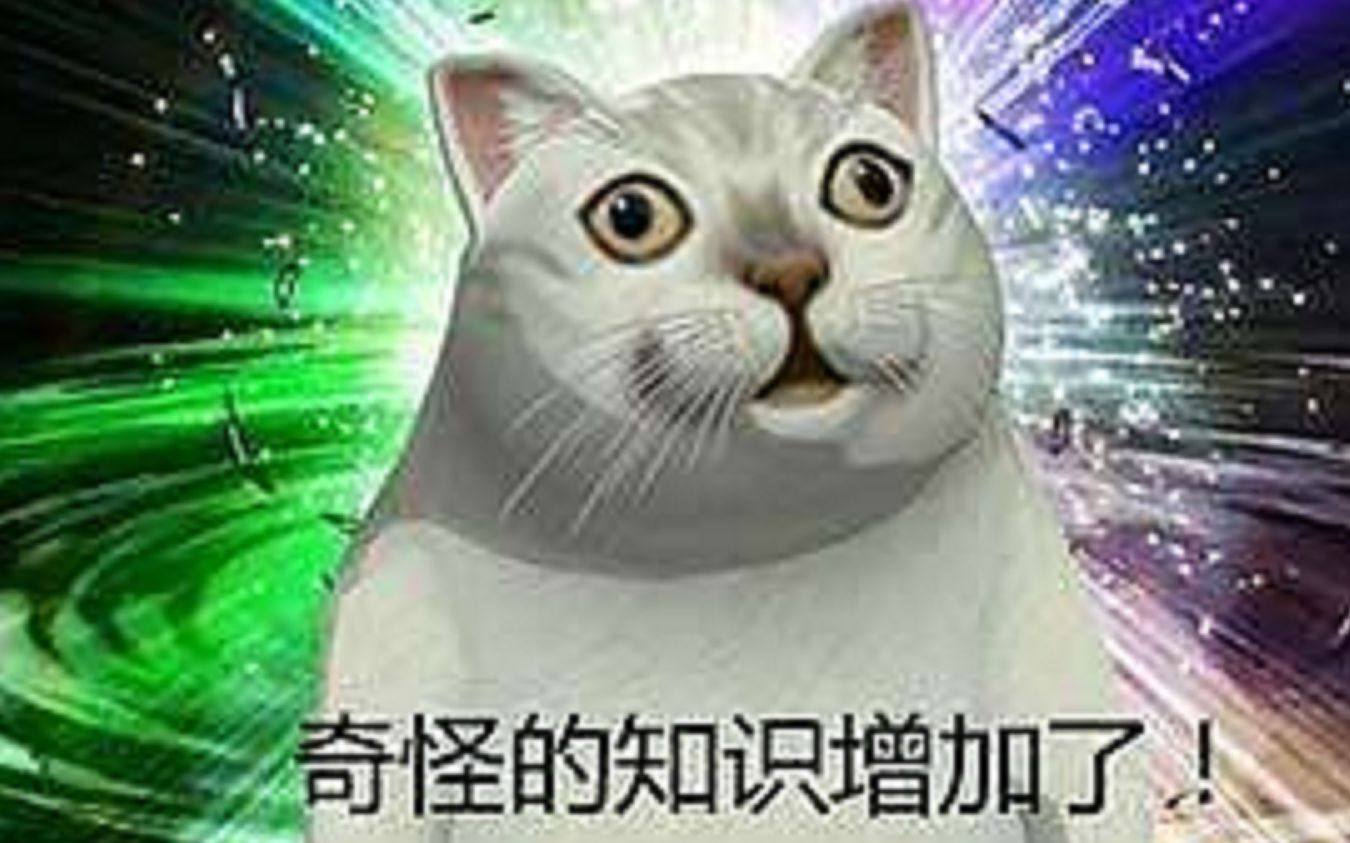 如何使用谷歌地图制作抖音B站地图特效:指定区域覆盖闪光