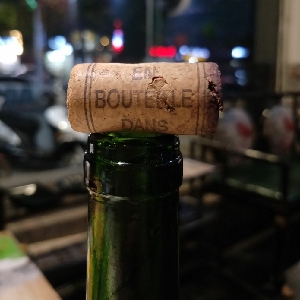 有梦想的小猪茜茜 