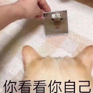 悦来悦酷 