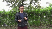 【高手必备】2015无极弹弓打法瞄打估打瞄估打甩手振打教学视频