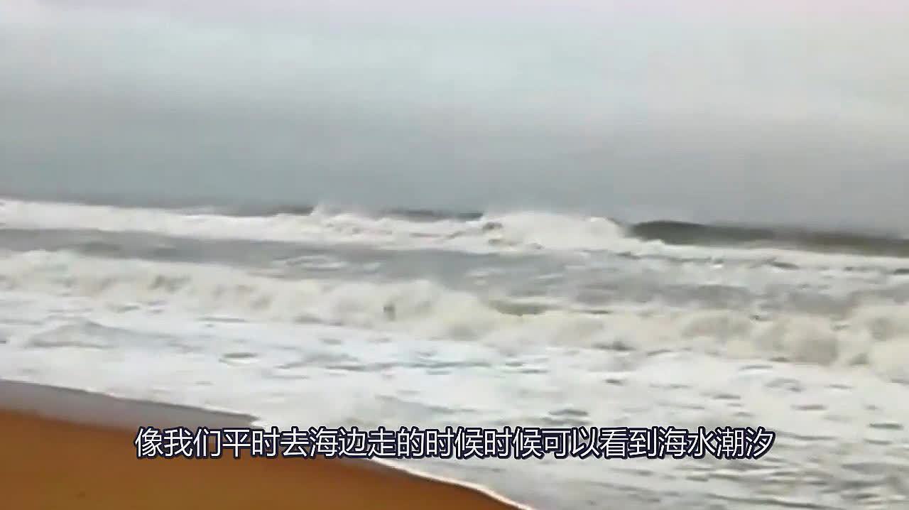 为什么大海会涨潮,退潮后海水都去了哪里?说出来你都不信