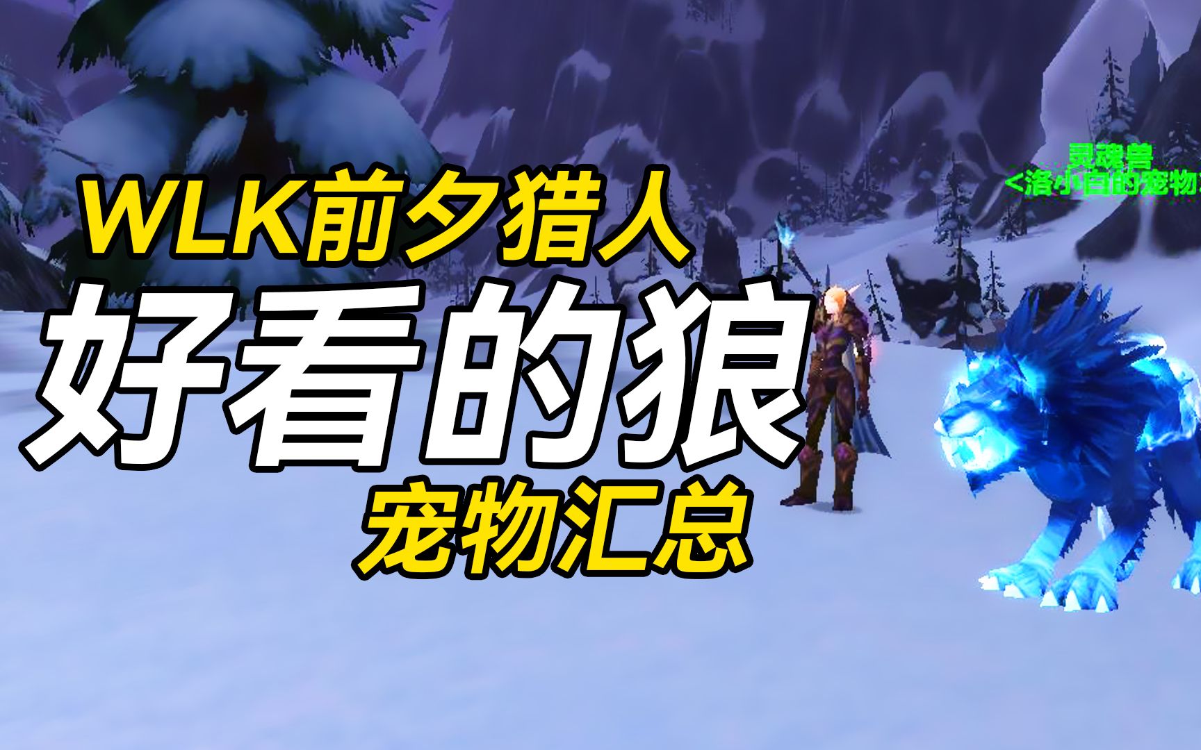 WLK前夕猎人好看的狼宠物汇总