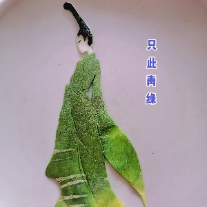 青衫不改梨人泪 