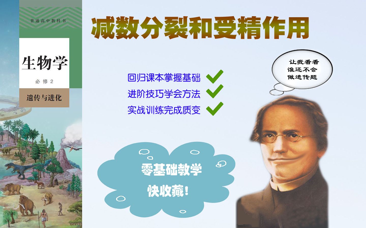 【高中生物必修二】减数分裂和受精作用精讲,强化基础,干货满满!看完...