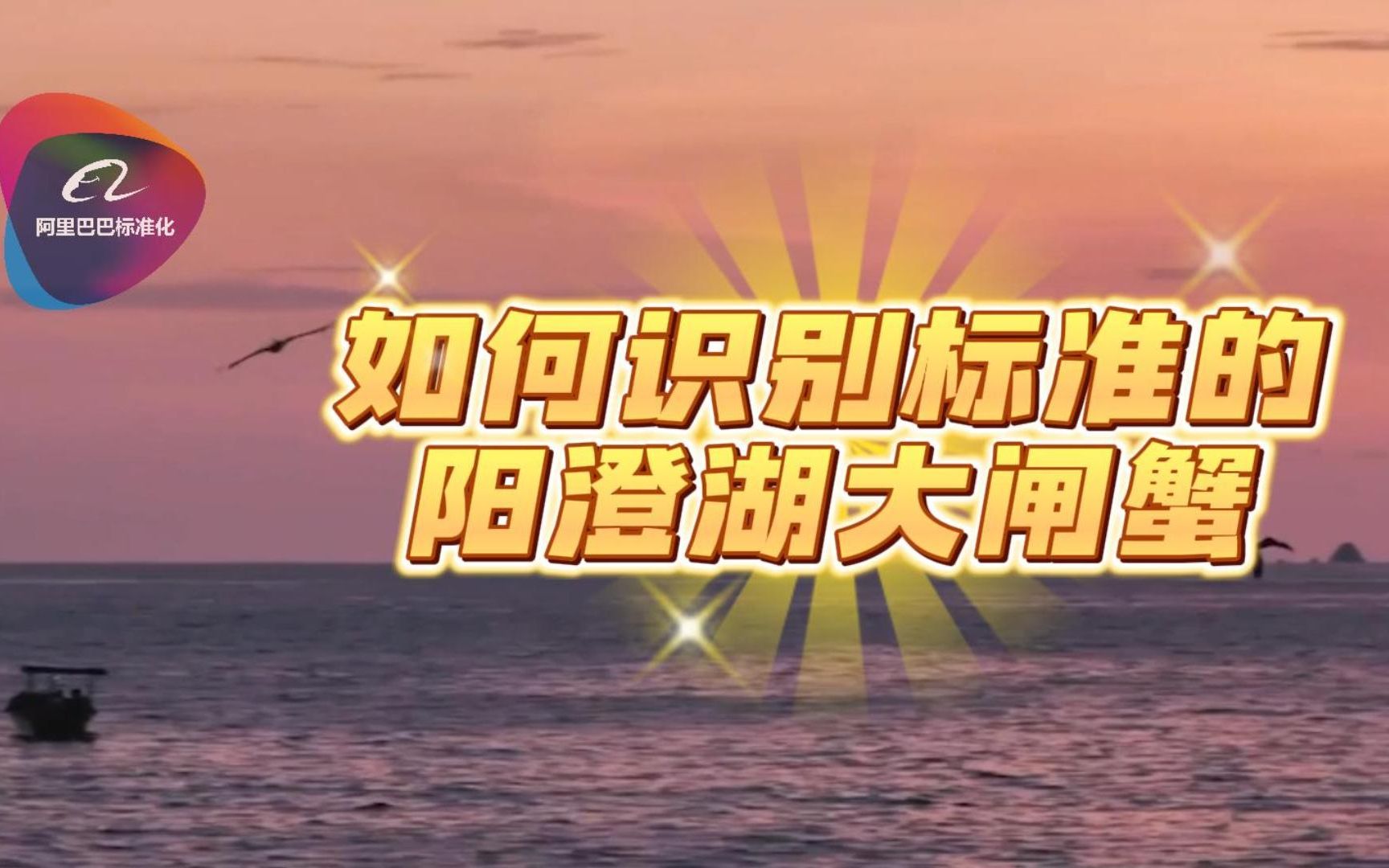 如何识别标准的阳澄湖大闸蟹