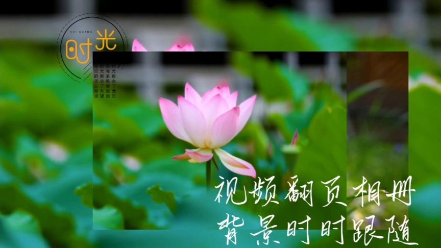 视频也可以做书本翻页效果?背景和页面时时跟随,别样显示