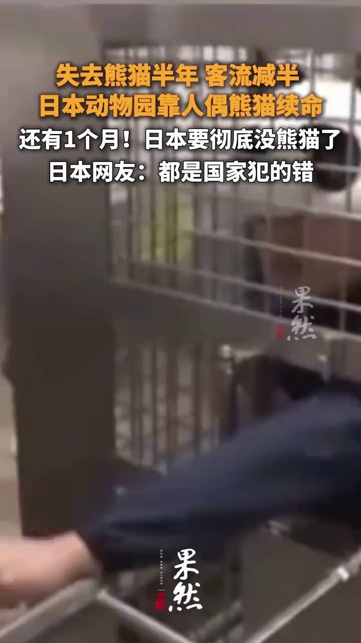 日本动物园让人扮演大熊猫在笼中给游客体验