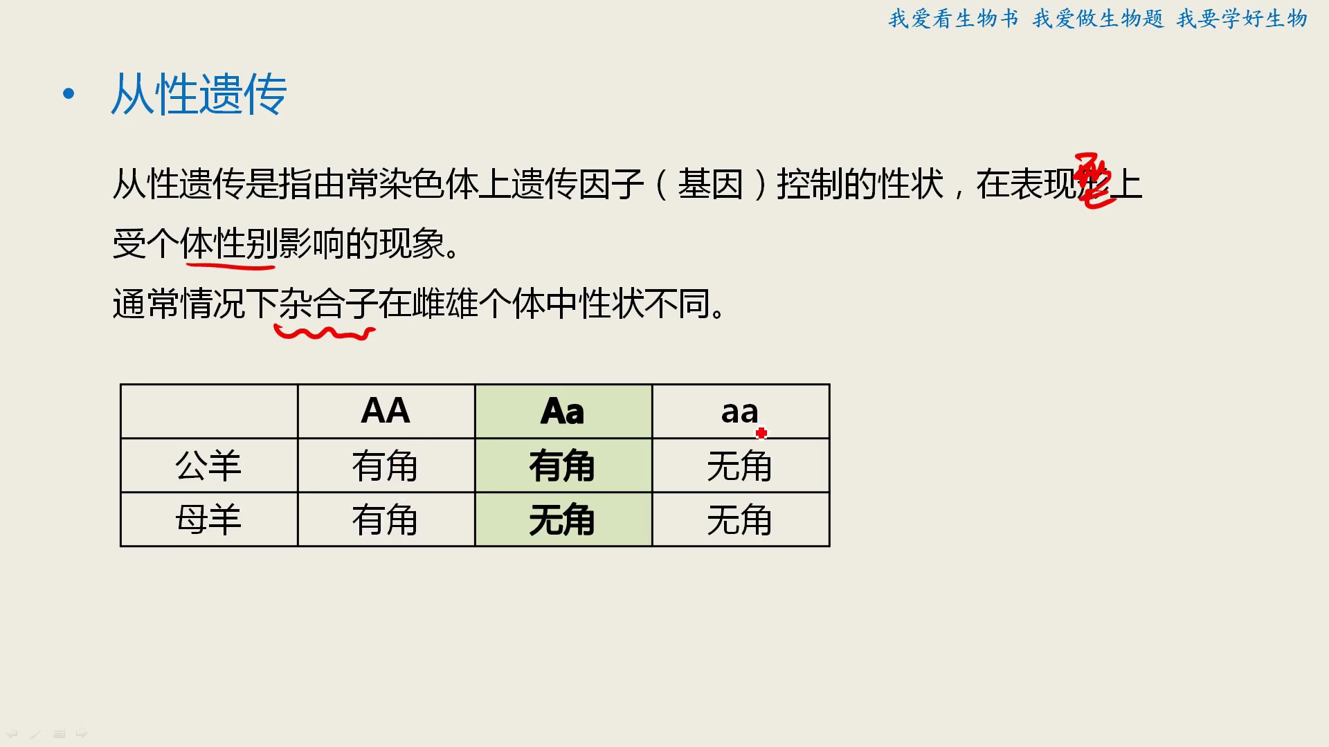 从性遗传、复等位基因和表型模拟实验-高考-高中生物-遗传定律-分离...