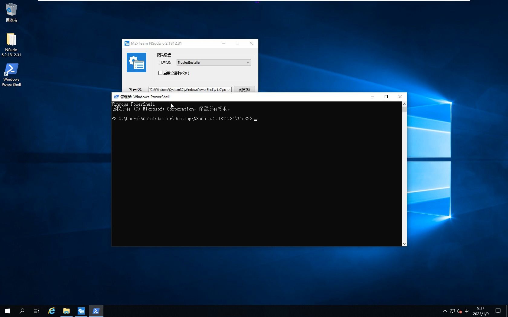 【作死】给Windows删库,居然成功了?