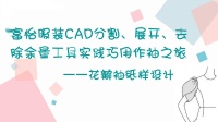 2.富怡服装CAD“分割、展开、去除余量”工具实践巧用做袖之旅——...