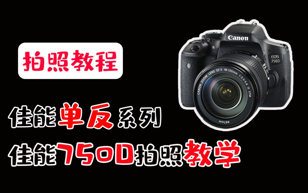 【蚂蚁摄影】佳能单反750D常用参数的设置方法和拍摄技巧,新手看懂...