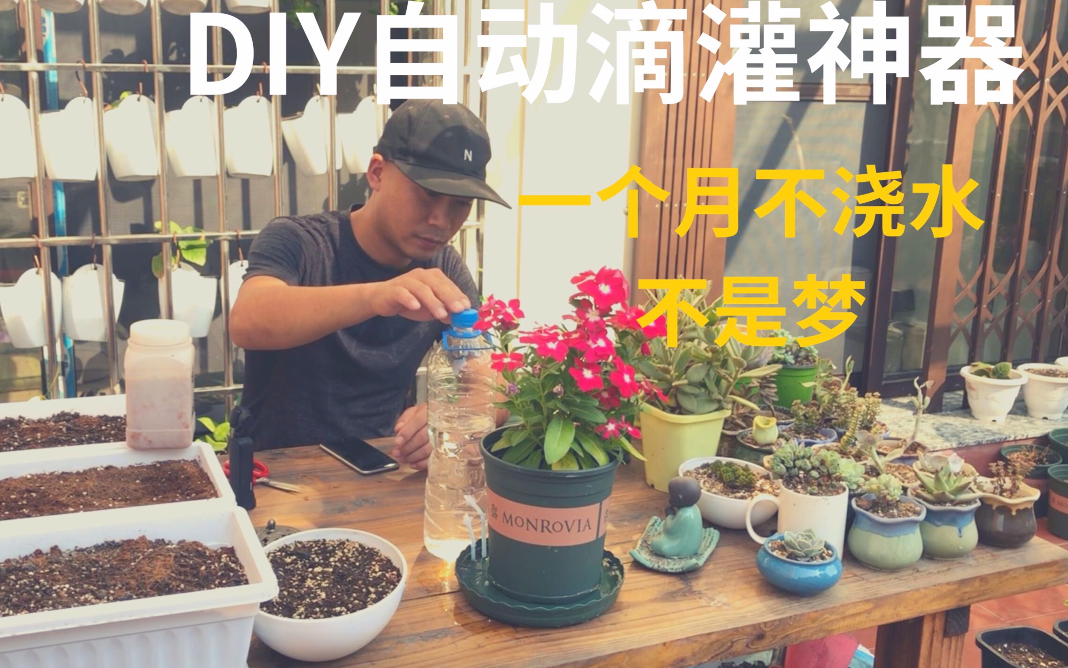 一个月不浇水不是梦,DIY自制滴灌神器,从此再也不怕出远门