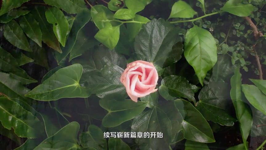 2020甘肃农业大学:资源与环境学院招生宣传