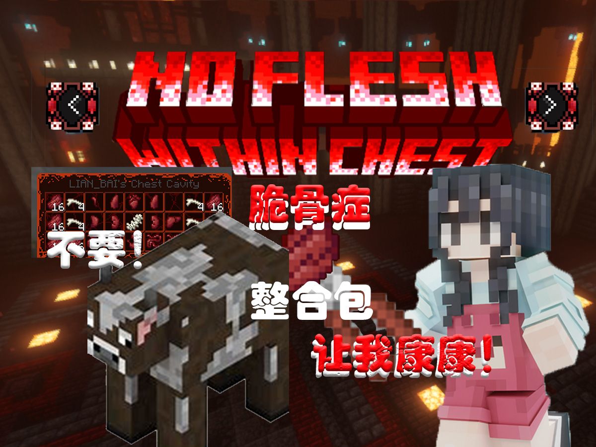 ...可以人体改造的整合包【脆骨症】No Flesh Within Chest【我的世界...