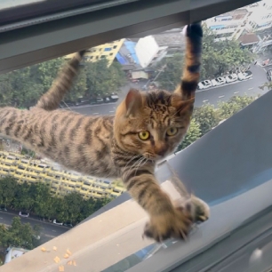 寿限無之笑颜百景 