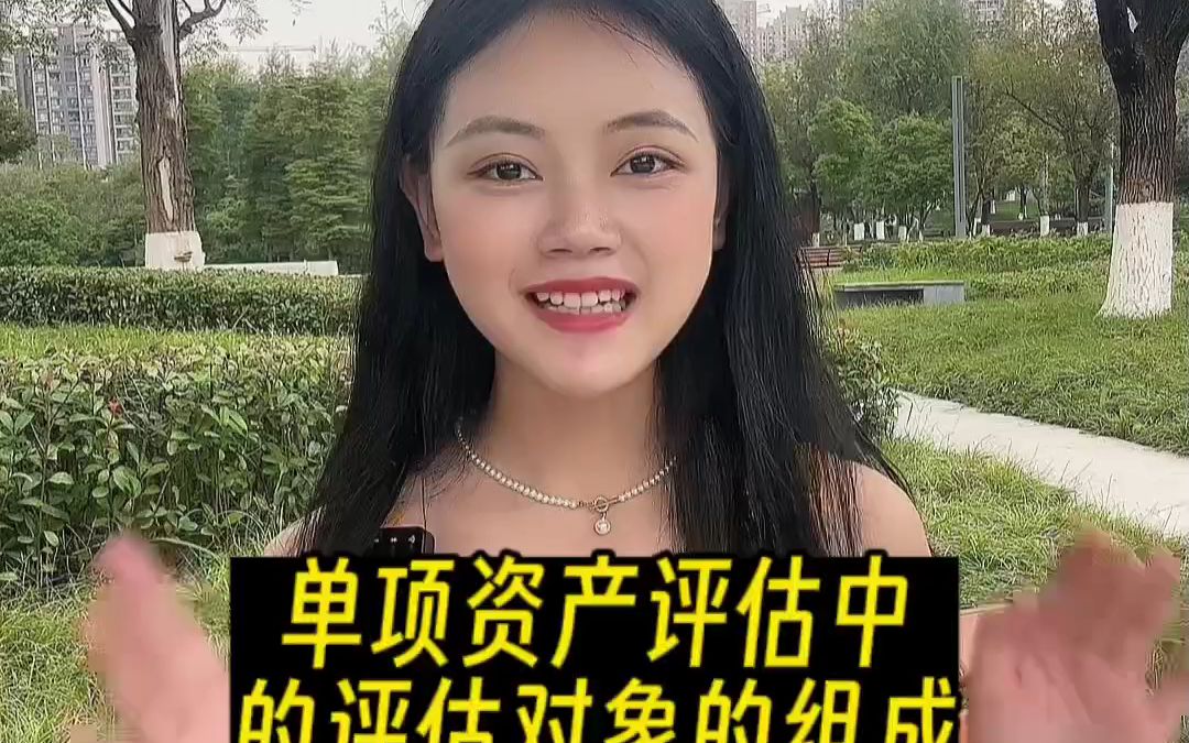 ...存在、可以单独发挥作用或以个体形式进行销售、转让和出租的资产。