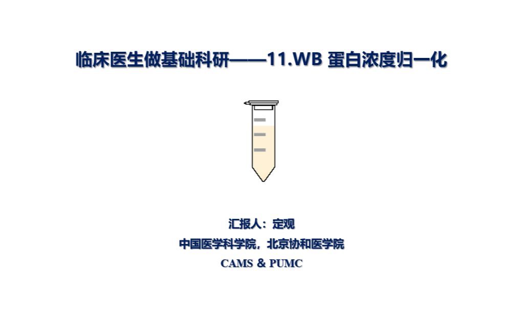 临床医生做基础科研——11.WB 蛋白浓度归一化