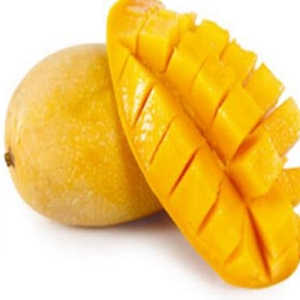一只屑Mango 