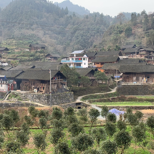 yangdy0803 