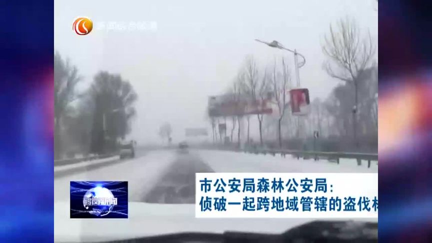 市公安局森林公安局:侦破一起跨地域管辖的盗伐林木案