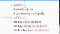 定语从句微课.mp4
