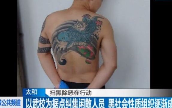 扫黑除恶:太和”邢丙军、王成斌黑社会性质组织”覆灭记