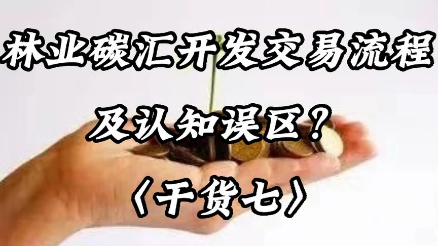林业碳汇开发交易流程及认知误区?〈干货七〉