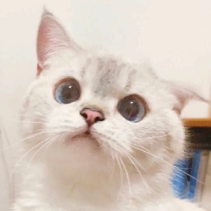 冥火SAMA 